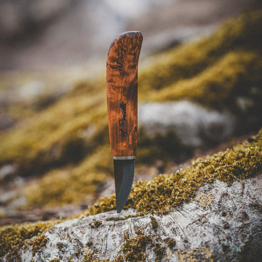 7 Essential Forest Tips for Outdoor Enthusiasts | Roselli Finland